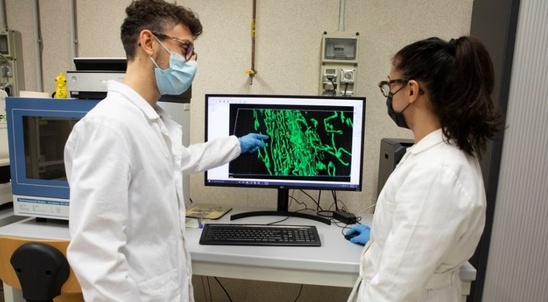 AIRCampus | Prosegue l'iniziativa che porta AIRC nelle aule di Unife ...