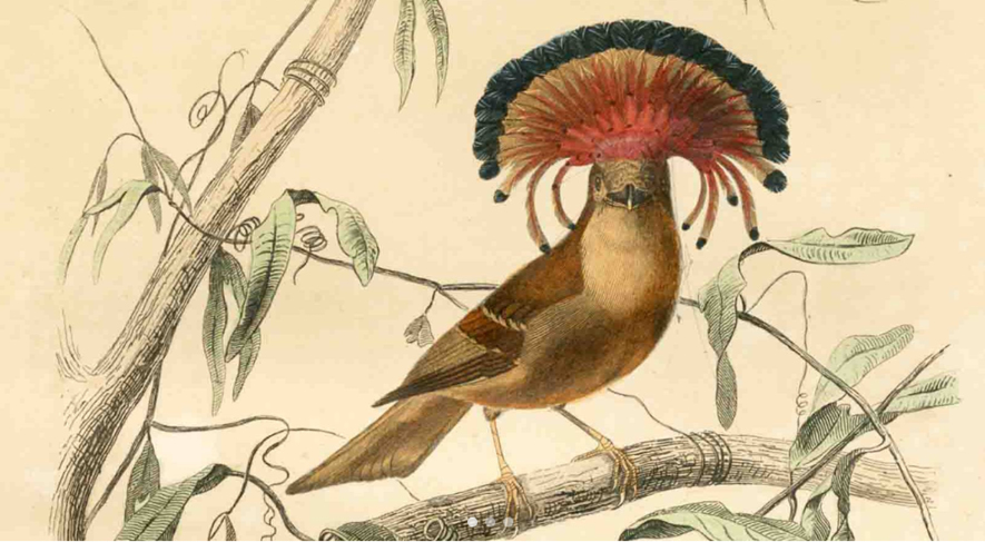 Virtual Heritage Unife | Il patrimonio culturale di Unife in formato ...