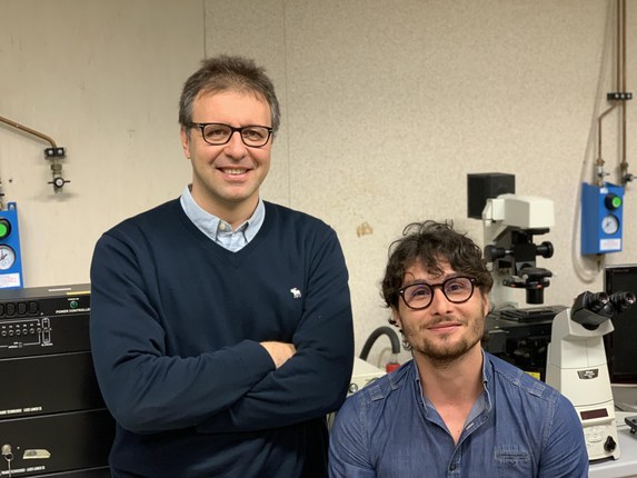 Tumori e calcio mitocondriale | Su EMBO Journal uno studio Unife che ne ...